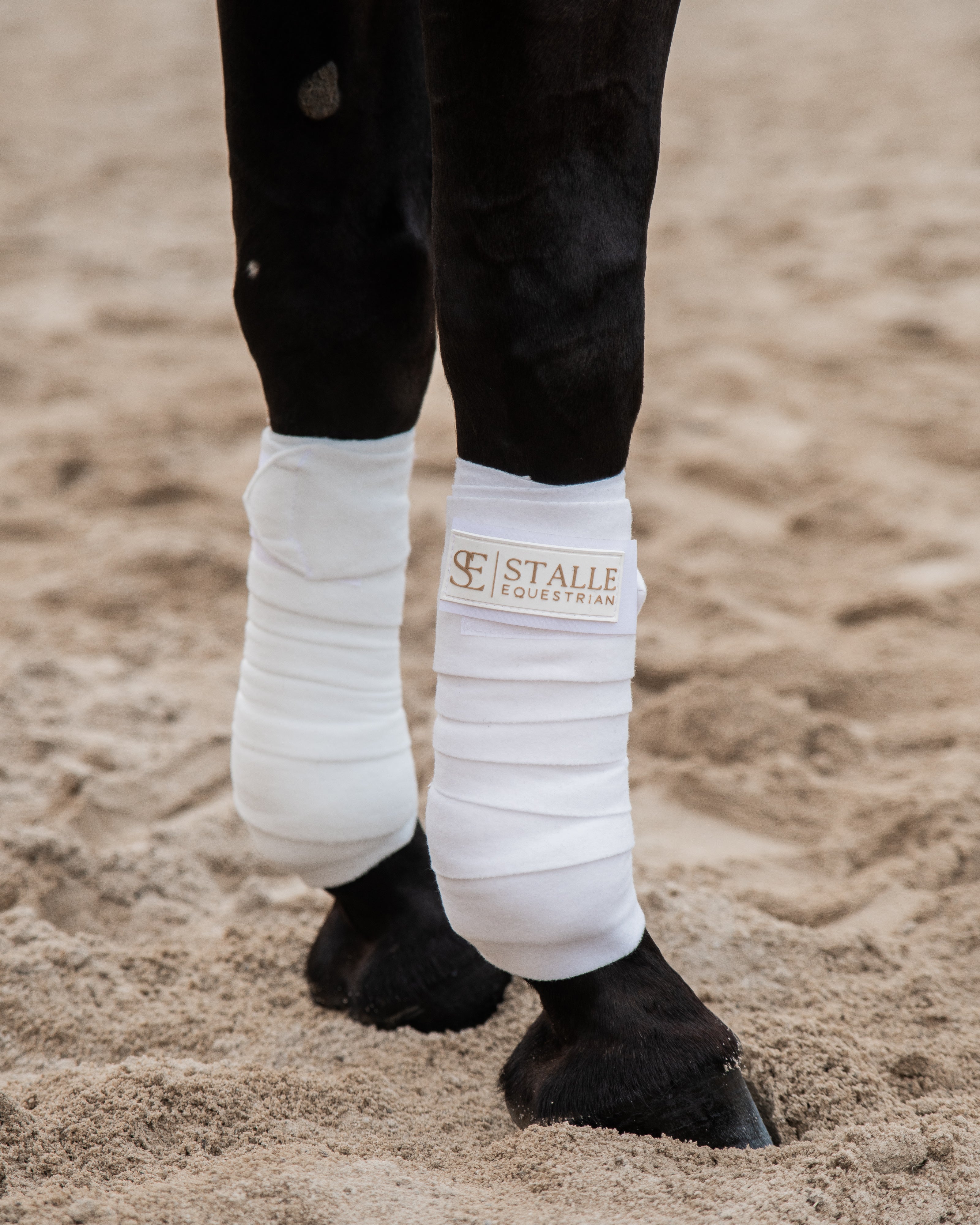 Polo Wraps – Stalle Equestrian