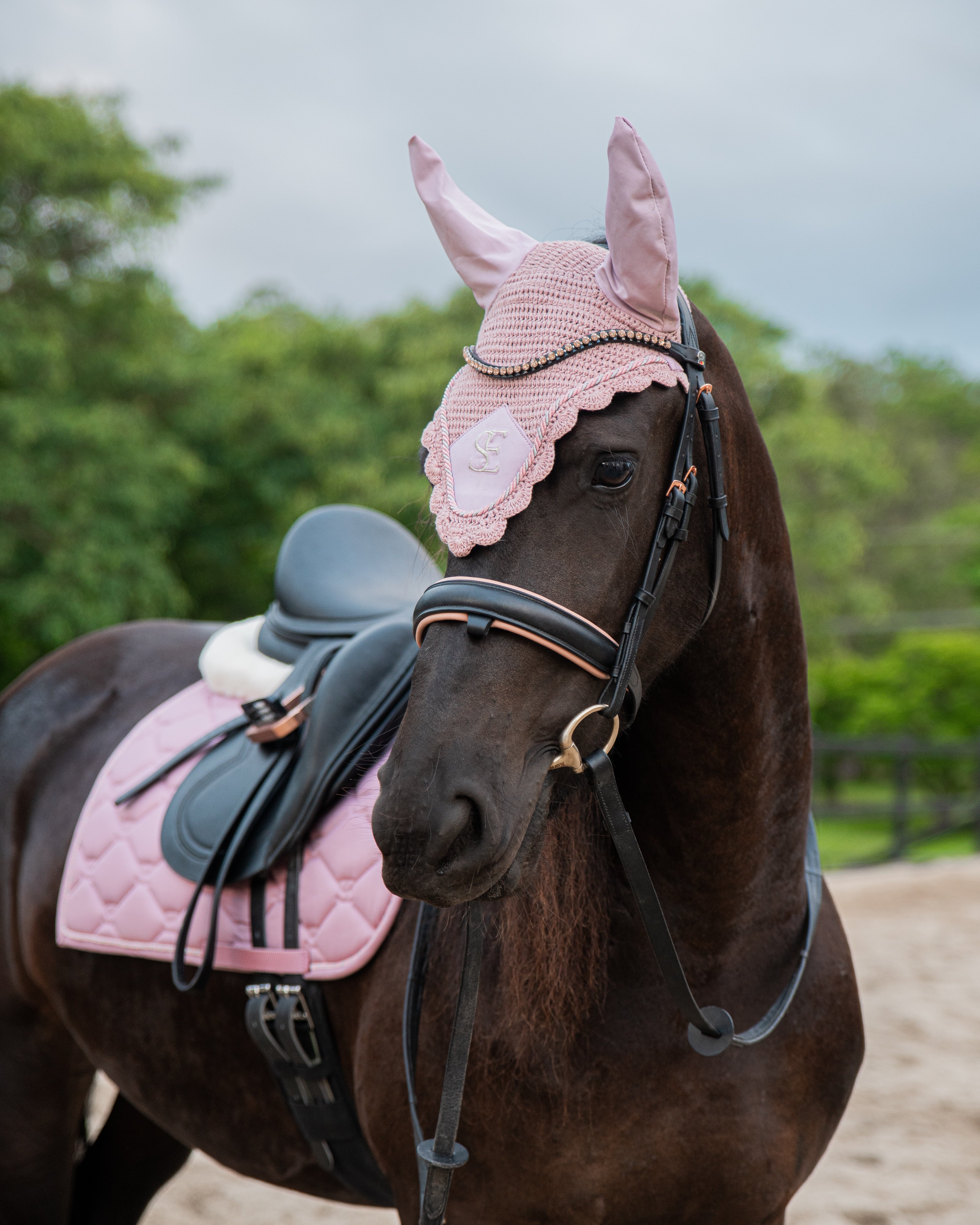Ear Bonnets – Stalle Equestrian