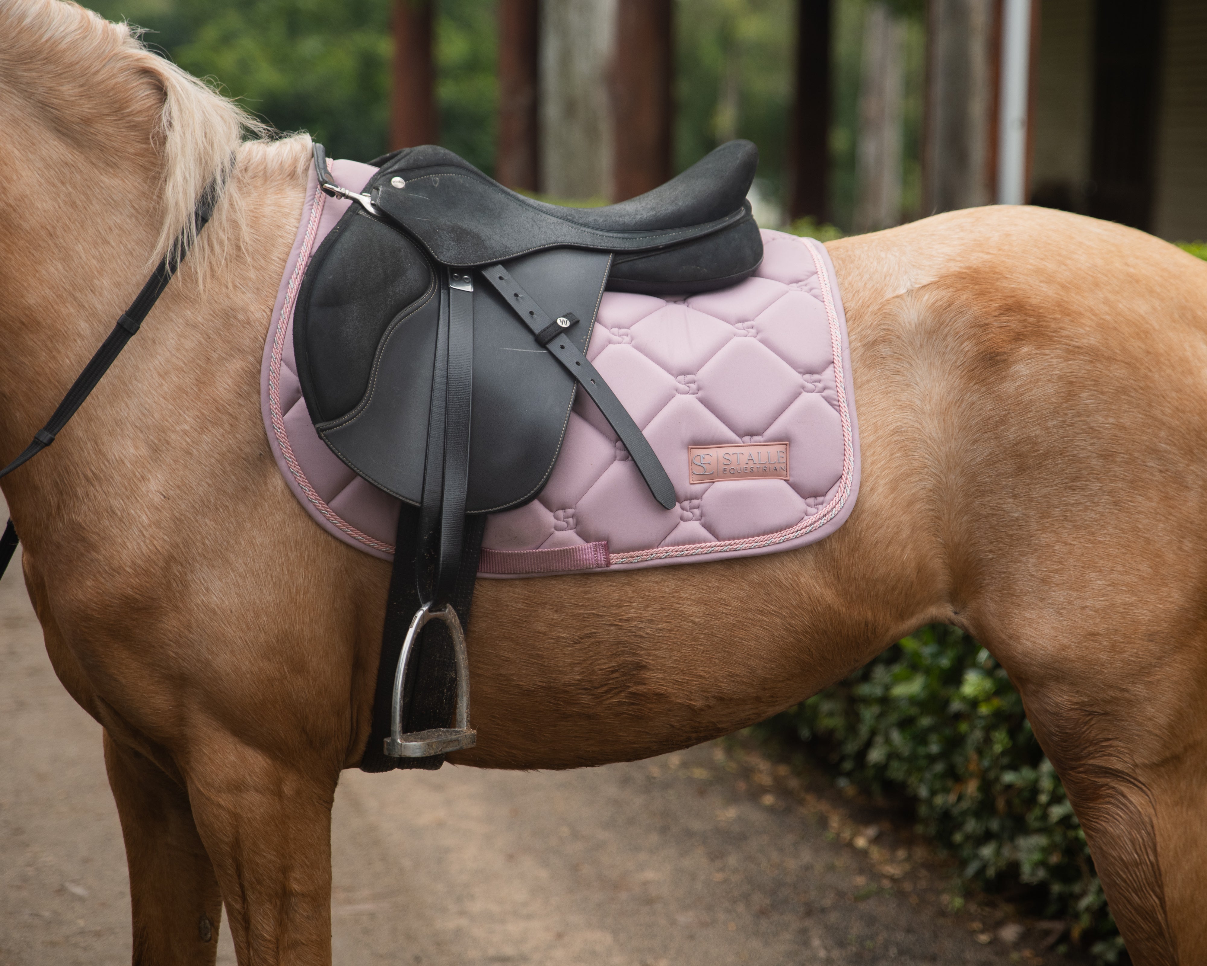 Jump Saddle Pad - Dusty Pink – Stalle Equestrian