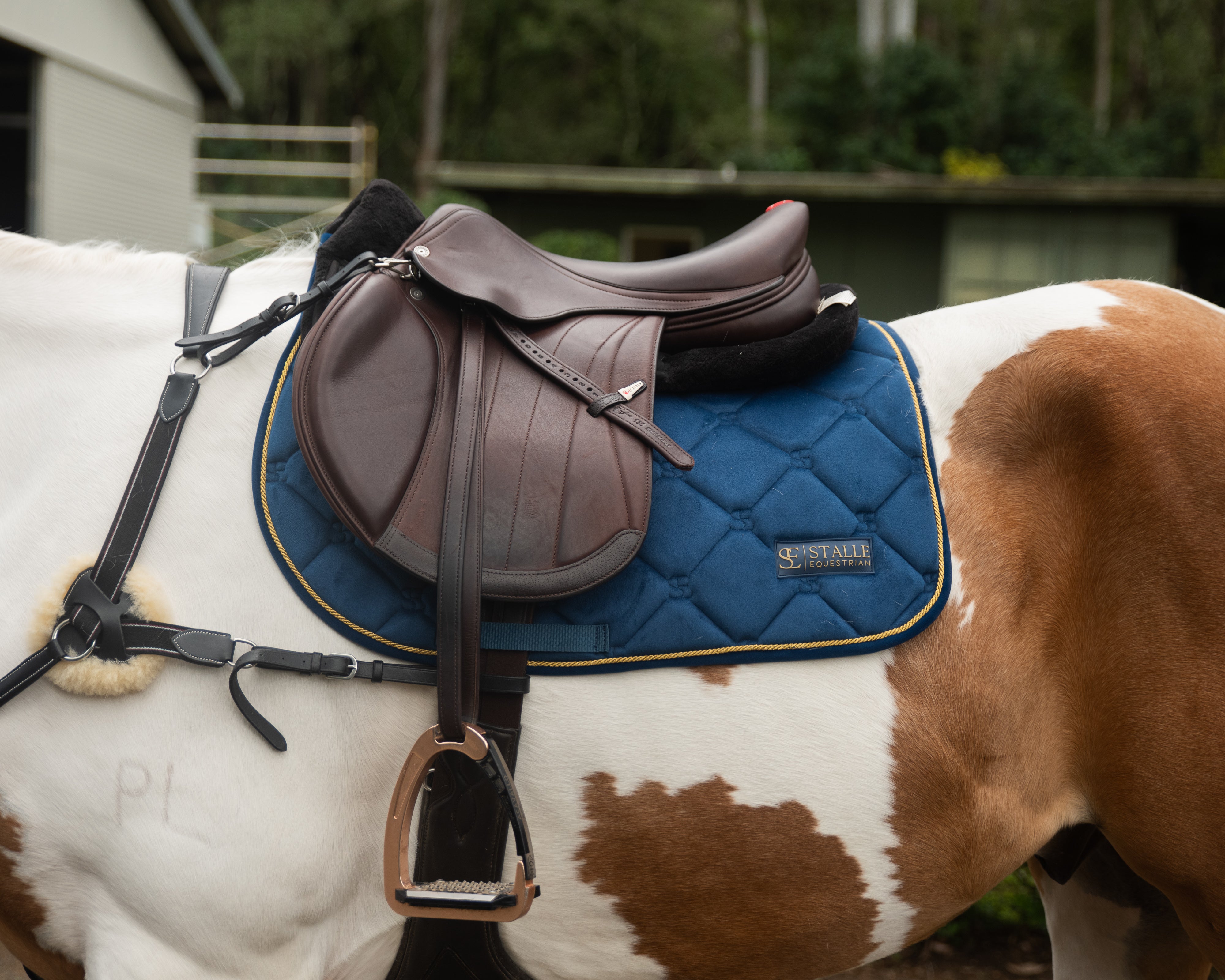 Velvet Jump Saddle Pad - Blue – Stalle Equestrian